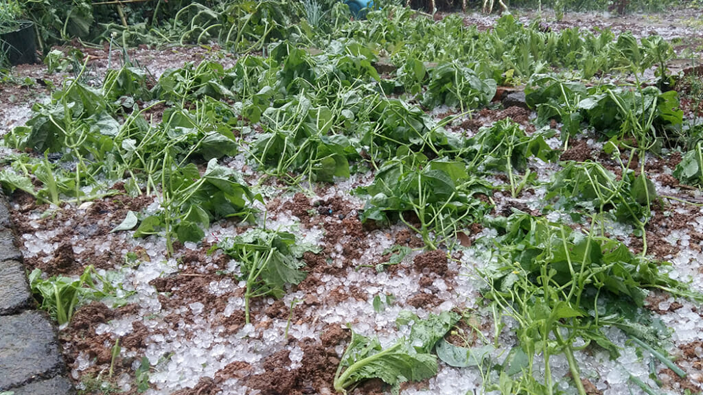 Hiện tượng mưa đá là gì? Dấu hiệu nhận biết sắp có mưa đá - Biết Tuốt